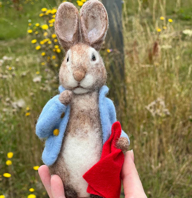 The Crafty Kit Company The World of Peter Rabbit Beatrix Potter Peter ...