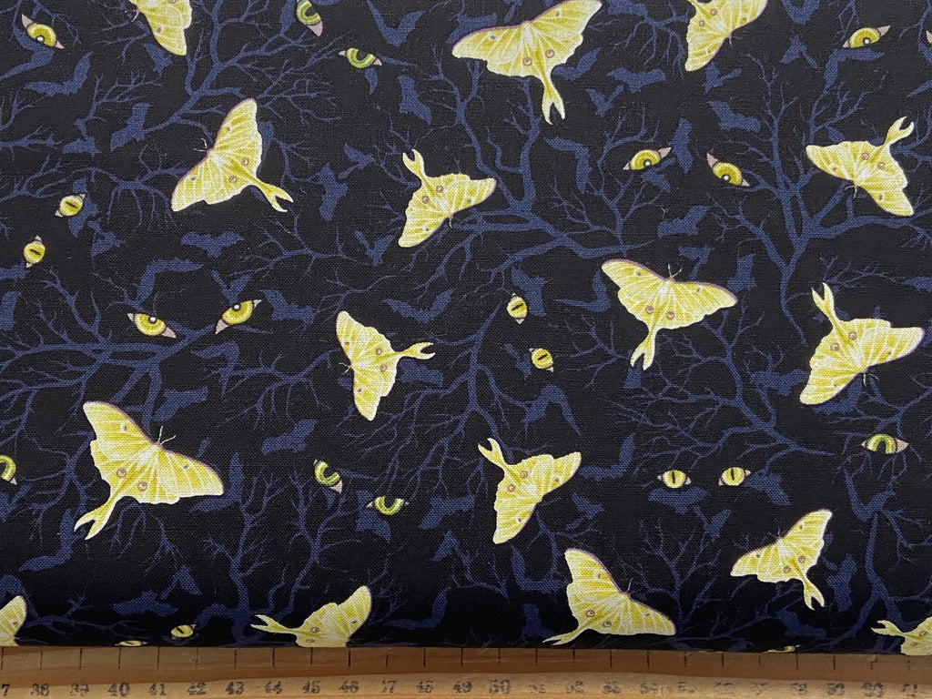 Grace Popp for Studio E Hallowed Forest Cats Eyes & Moths Black Cotton ...