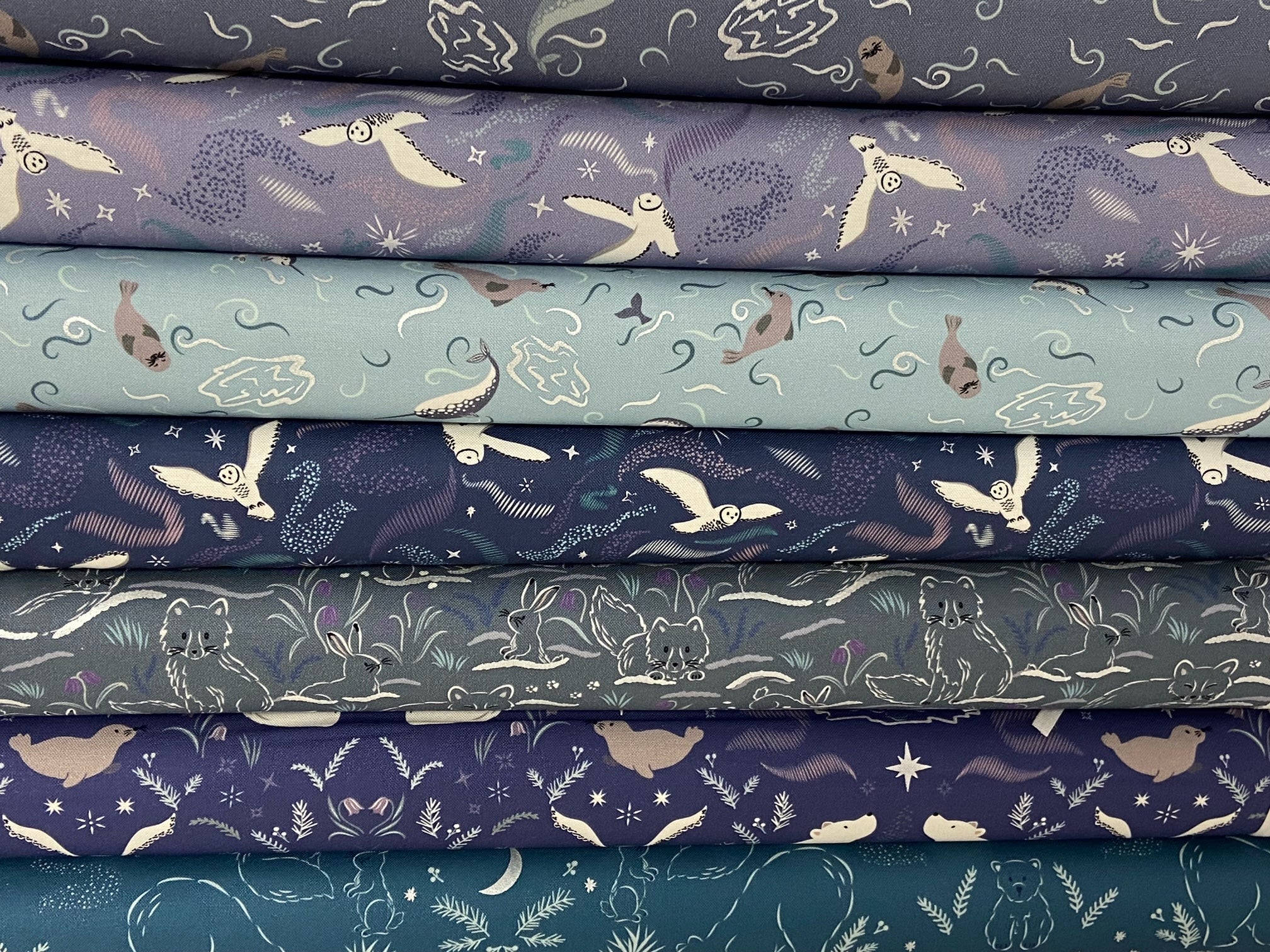 Cassandra Connolly for Lewis & Irene Arctic Adventure True North Midni ...