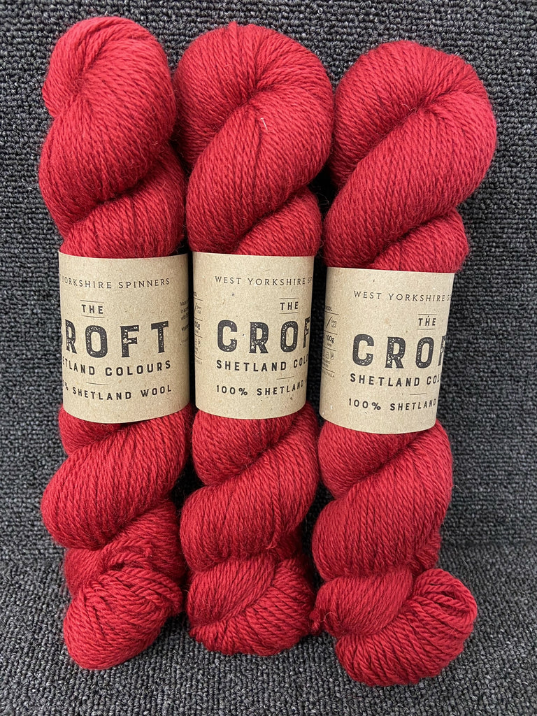 West Yorkshire Spinners The Croft Aran Wool Blend Yarn 100g Hank Vario ...